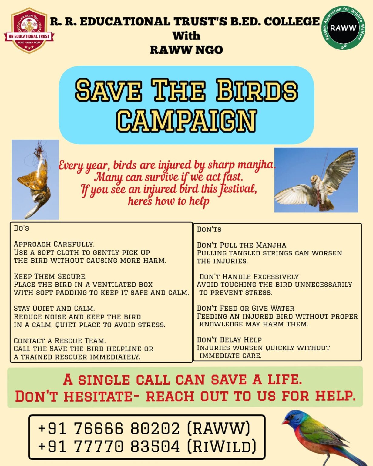 Save the birds campaign – R.R. Educational Trust's